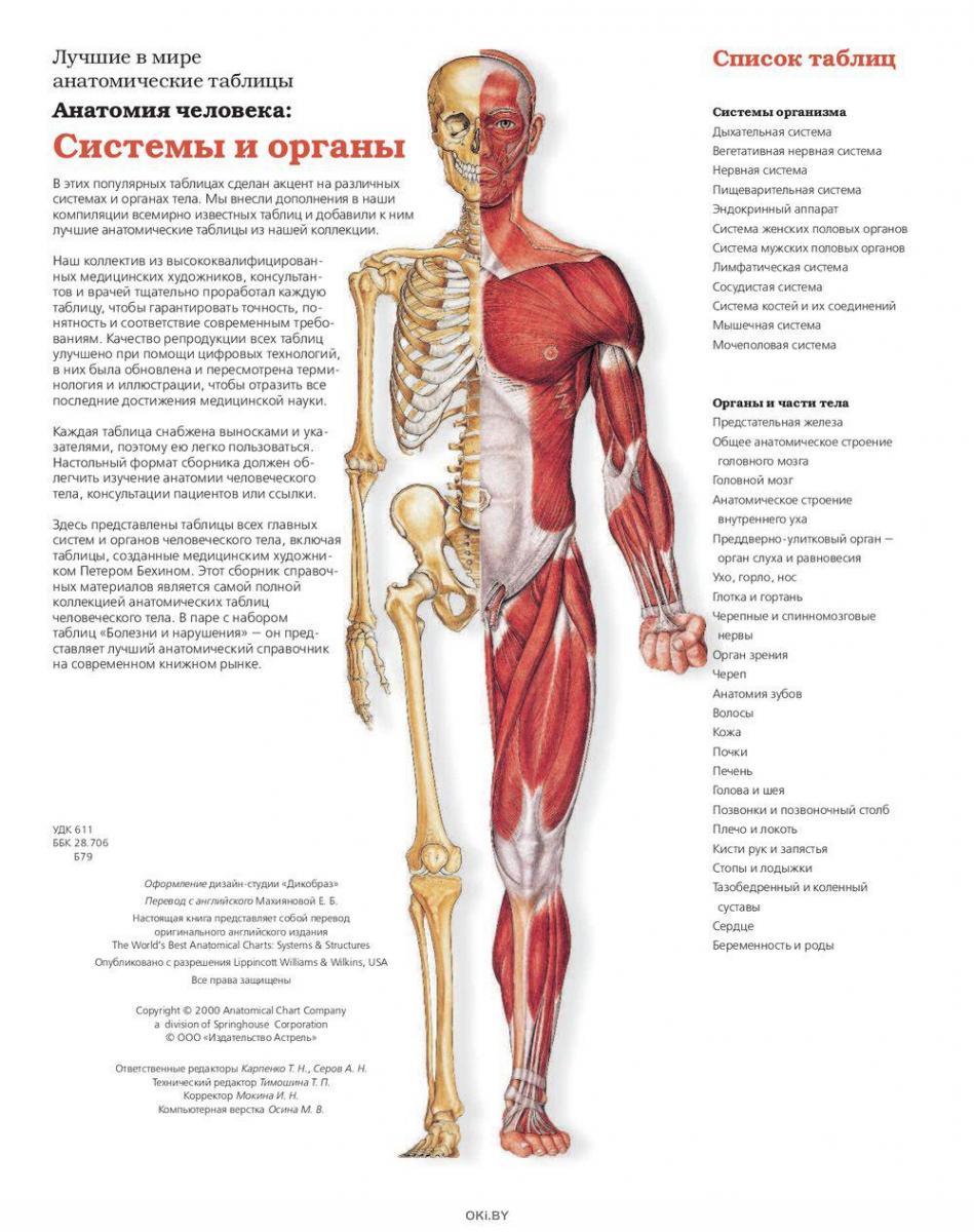 Купить Большой атлас анатомии человека (eks) в Минске в Беларуси ...