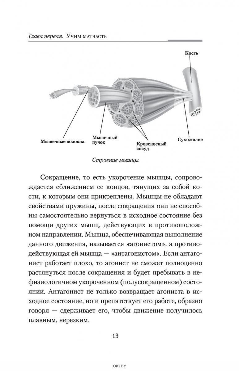Купить Практическая кинезиология: как перевоспитать мышцы-халтурщицы ...